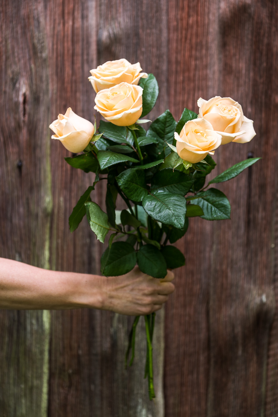 Ruusukimppu 5 kpl - Järvenpään Kukkatalo